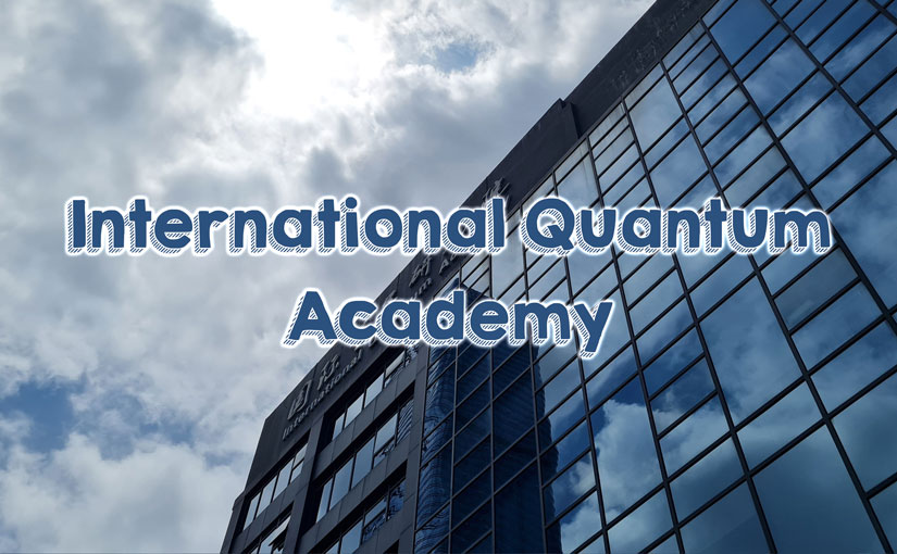 International Quantum Academy : Some People Juggle Geese
